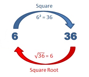 The Relationship Between Squaring and Square Roots
